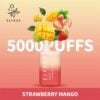 Pod Elfbar EW9000 Refil 9000 Puffs | Elfbar Brasil